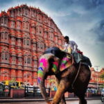 2 Days complete Jaipur tour with elephant safari with guide. - Who Will Love This Tour?