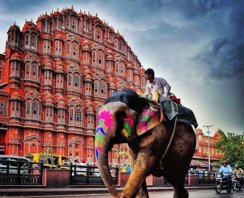 2 Days complete Jaipur tour with elephant safari with guide. - Who Will Love This Tour?
