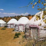 2 Days Private Safari Tour from Bukhara - An Overview of the Tour Experience