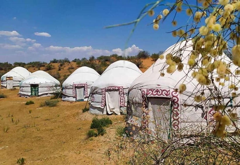 2 Days Private Safari Tour from Bukhara - An Overview of the Tour Experience