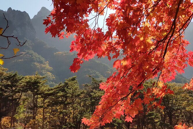 2 days Private Tour : Mt Seorak & Naksansa Temple & Nami Island 'from Seoul' - Exploring the Itinerary in Detail