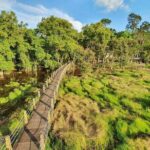 2 Days Tour in Cat Tien National Park - Authentic Feedback from Travelers