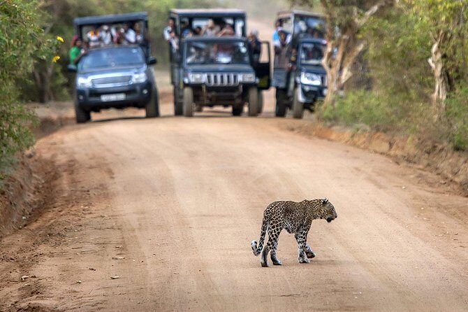 2 Days Tour to Galle & Udawalawe National Park - Exploring Galle: The Dutch Fort and Coastal Charm