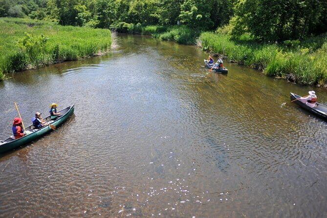 2 Hour Canoe on the Bibi River - Why This Tour Offers Good Value