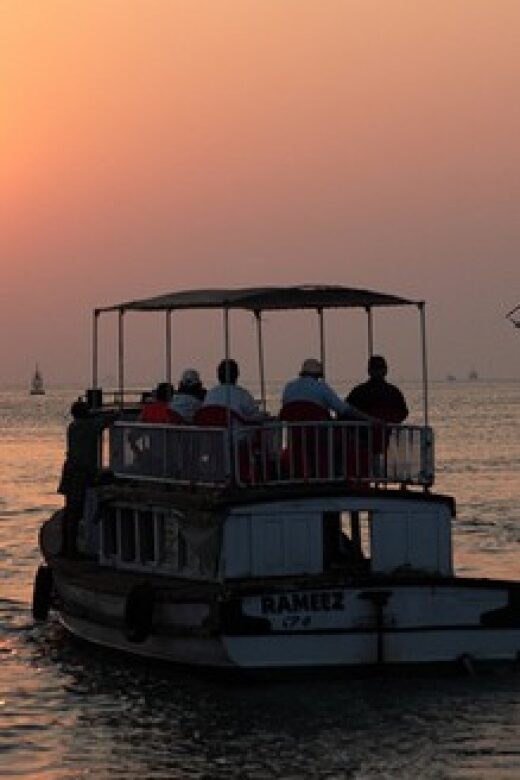 2-Hour Cochin Sunset Harbor Cruise - Final Thoughts
