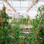 2-Hour Farm Experience in Gateway Yarra Valley - Why This Experience Works