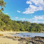 2-Hour Guided Walking Tour in Sydney Harbour National Park - Group Size and Logistics