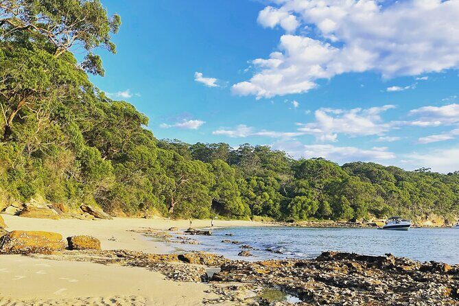 2-Hour Guided Walking Tour in Sydney Harbour National Park - Group Size and Logistics
