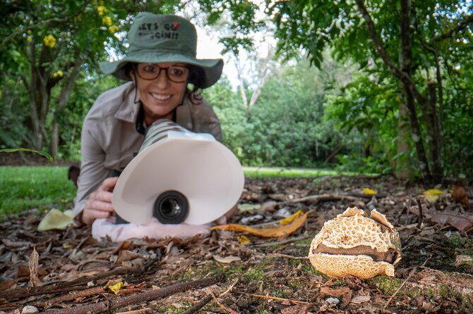 2-Hour Mushroom Photography Activity in Cairns Botanic Gardens - Who Will Love This Tour?