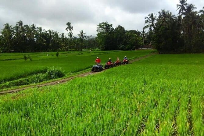 2 Hour Private ATV Ride In Bali Ubud - Who Should Consider This Tour?