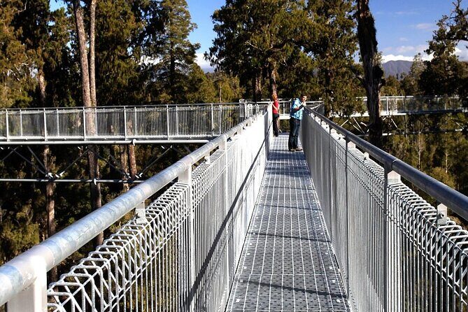 2-Hour Tower Zipline and Walkway Combo Private Guided Activity - Who Will Enjoy This Tour?