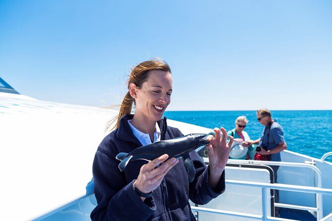 2 Hour Whale-Watching Cruise from Hillarys Boat Harbour - Final Thoughts: Who Will Truly Enjoy This Experience?