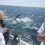 2 hour whale watching experience departing Hillarys Boat Harbour - Duration and Departure