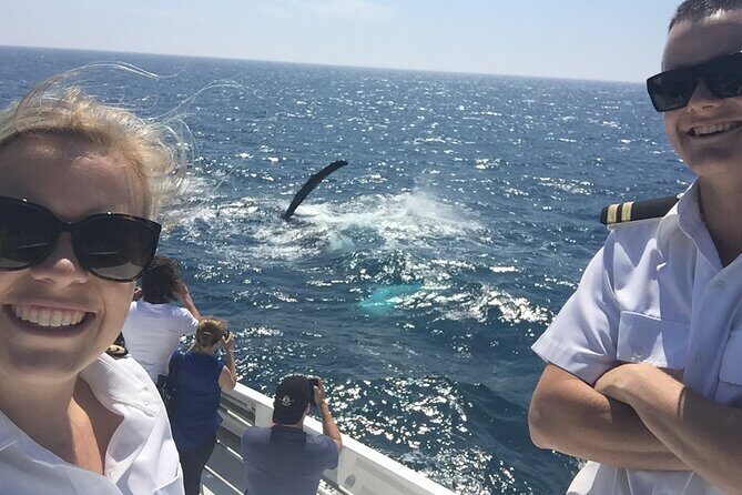 2 hour whale watching experience departing Hillarys Boat Harbour - Duration and Departure