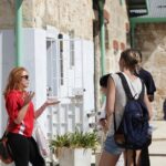 2 Hours Culture and Street Art Tour in Fremantle - The Value and Who Should Book This Tour