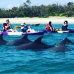 2 Hours Dolphin Kayaking & Snorkeling Tour on the Broadwater - The Guides and Group Size