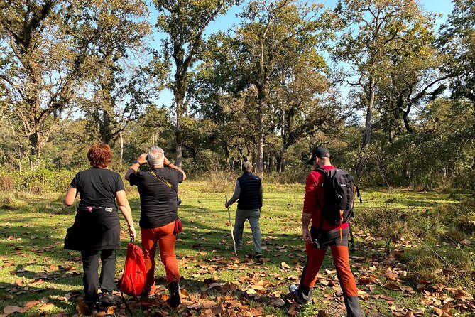 2 Hours Nature Walk in Chitwan National Park - What Makes the Guided Nature Walk Special?
