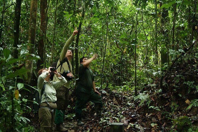 2-Night Danum Valley Borneo Rainforest Lodge Hiking and Wildlife Adventure - The Itinerary in Detail: What to Expect