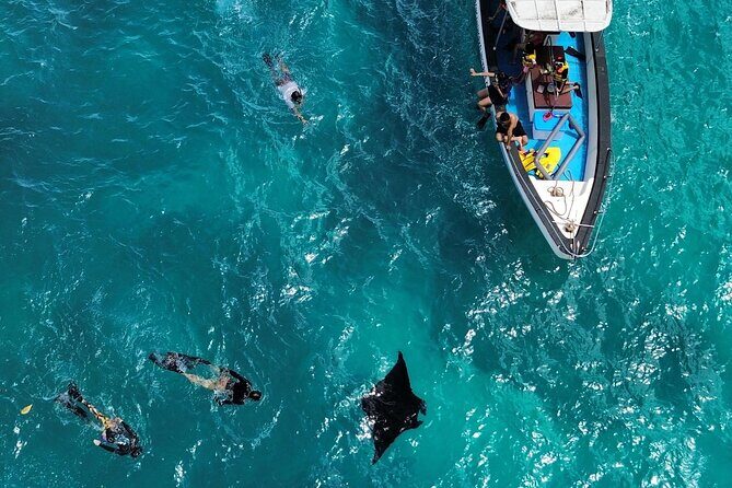 2 Spots Snorkeling Tour with Manta Rays point in Nusa Penida - Timing, Group Size, and Weather Considerations