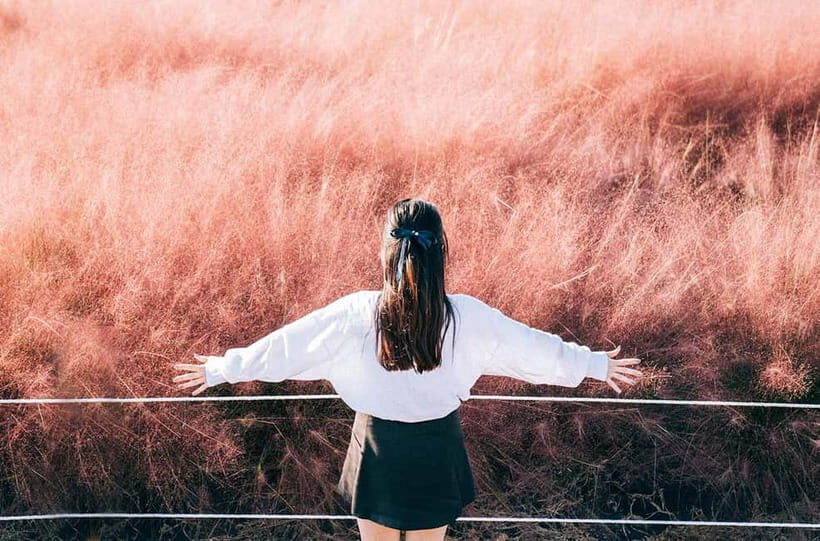 2025 Jeju Autumn Tour with Pink Muhly Festival - Exploring the Itinerary: What You Can Expect