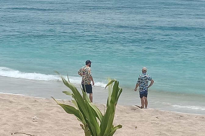 2D/1N (Hostel) Backpacker Lombok Tour Package - Transportation, Logistics, and Flexibility