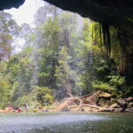 2D1N Jungle Hike to 2 Waterfall with a 4x4 Journey - A Closer Look at the Jungle Hike and Waterfalls Tour in Malaysia