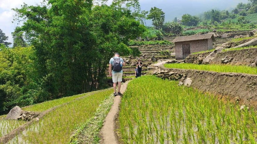 2D1N Trek: Ta Van & Lao Chai Rice Terrace Trails - Trek to Lao Chai and Lunch with a Local Family