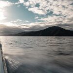 3.5 Hour Marlborough Sounds Delivery Cruise - The Itinerary Breakdown: A Closer Look
