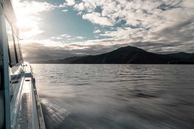 3.5 Hour Marlborough Sounds Delivery Cruise - The Itinerary Breakdown: A Closer Look