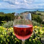 3.5 hour Sunset Tour on Waiheke Island - Final Thoughts