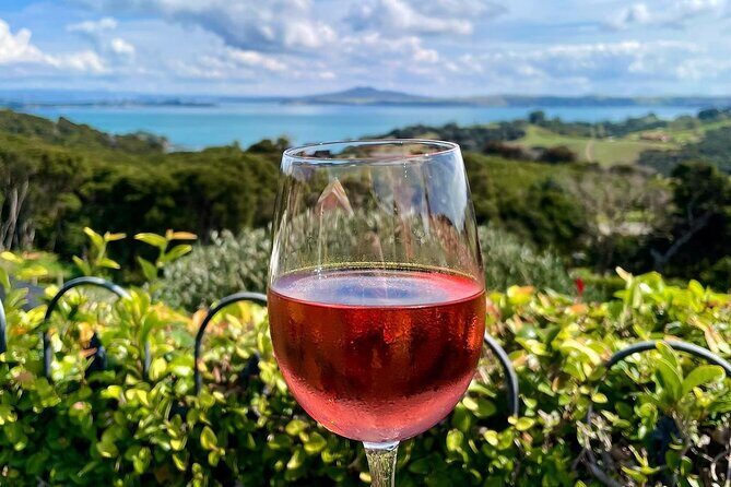 3.5 hour Sunset Tour on Waiheke Island - Final Thoughts