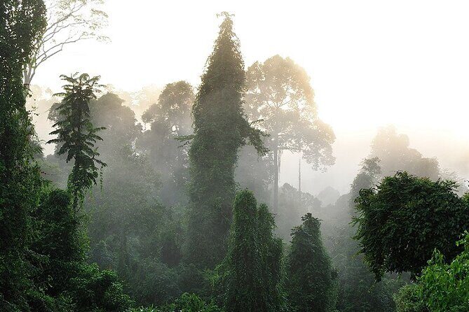 3-Day Adventure in Tabin Wildlife Reserve - What Makes This Tour Valuable for Travelers