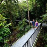 3-Day Best of Cairns Combo: The Daintree Rainforest, Great Barrier Reef, and Kuranda - Authentic Experiences & Traveler Feedback