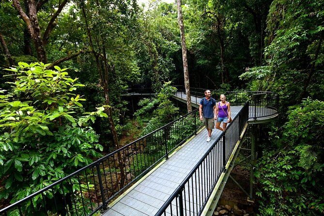 3-Day Best of Cairns Combo: The Daintree Rainforest, Great Barrier Reef, and Kuranda - Authentic Experiences & Traveler Feedback