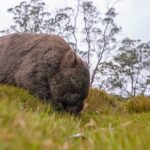 3-Day Cradle Mountain Photography Workshop - Based on Actual Reviews