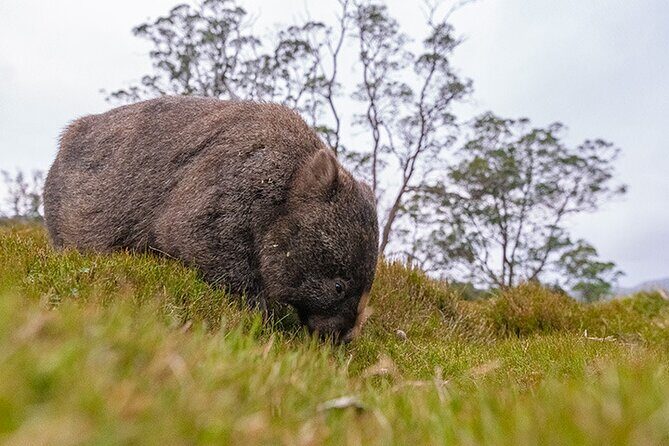 3-Day Cradle Mountain Photography Workshop - Based on Actual Reviews
