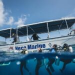 3 Day Dive Tour - The Sum Up