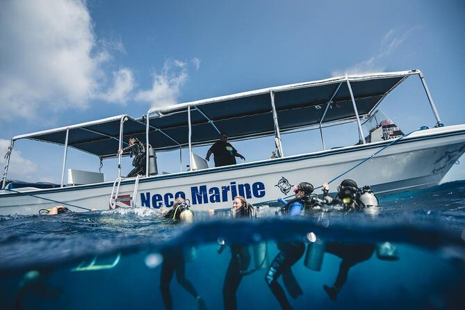 3 Day Dive Tour - The Sum Up