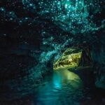 3-Day Hobbiton, Rotorua, Whakarewarewa, and Waitomo Tour - Practical Details & What It Means for You