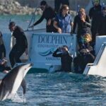 3 Day Kaikoura Sealife and Coach Tour from Christchurch - Transportation & Timing: What Matters