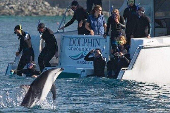 3 Day Kaikoura Sealife and Coach Tour from Christchurch - Transportation & Timing: What Matters