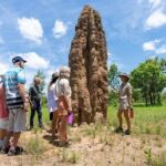 3-Day Kakadu & Litchfield 4WD Camping Adventure from Darwin - What’s Included and What You Should Know