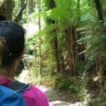 3 Day Kayak & Walk North New Zealand - A Detailed Step-by-Step Breakdown of the Itinerary