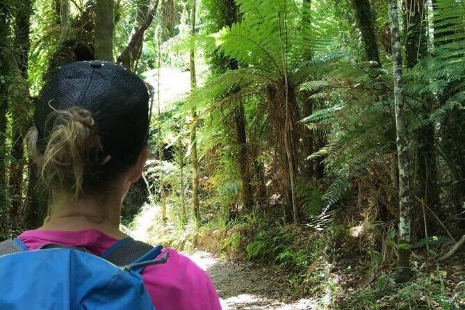 3 Day Kayak & Walk North New Zealand - A Detailed Step-by-Step Breakdown of the Itinerary