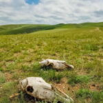 3 day Khar khorum budget tour Central Mongolia91 - What’s Included and What to Expect