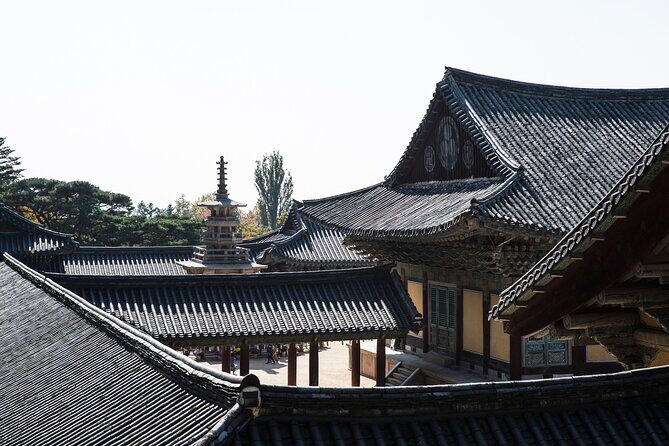 3-Day KORAIL Tour of Busan and Gyeongju from Seoul - Why This Tour Works for Travelers