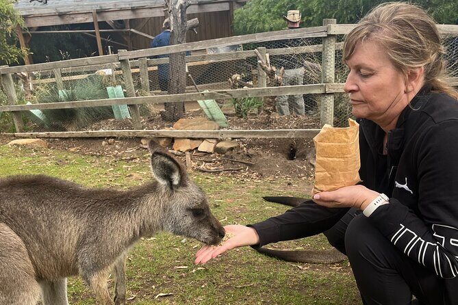 3 Day Private Tour in Tasmania - What’s Included and What’s Not