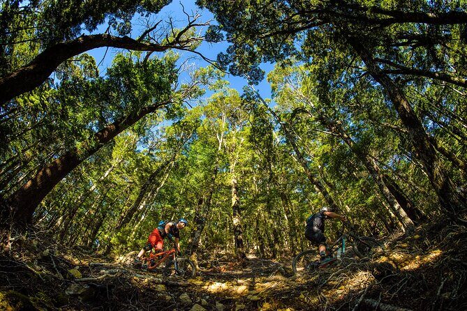 3 Day Shuttle MTB Weekend Adventure in Nelson - Day 2: Wairoa Gorge Bike Park