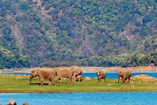 3 Day Taj Mahal and Jim Corbett National Park Safari Tour - What You Get with This Tour