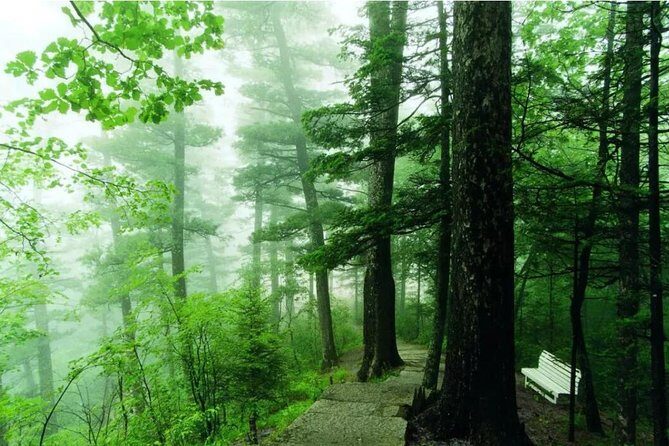 3-Day Yichun City Private Tour with Forest Parks Visit from Harbin - Authenticity and Unique Experiences
